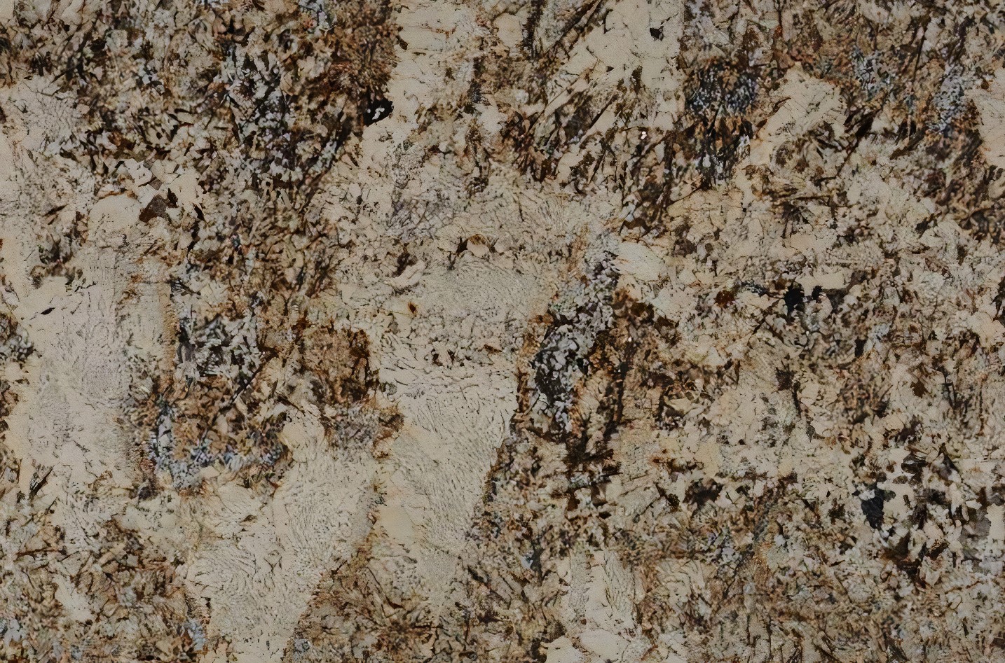 Home - Paragon Exotic Stones